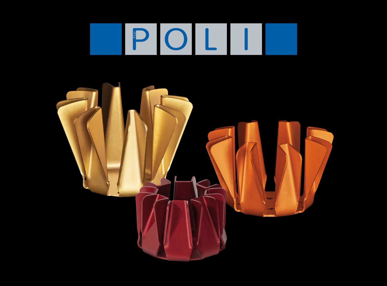 F.LLI POLI SRL - Luce in Veneto